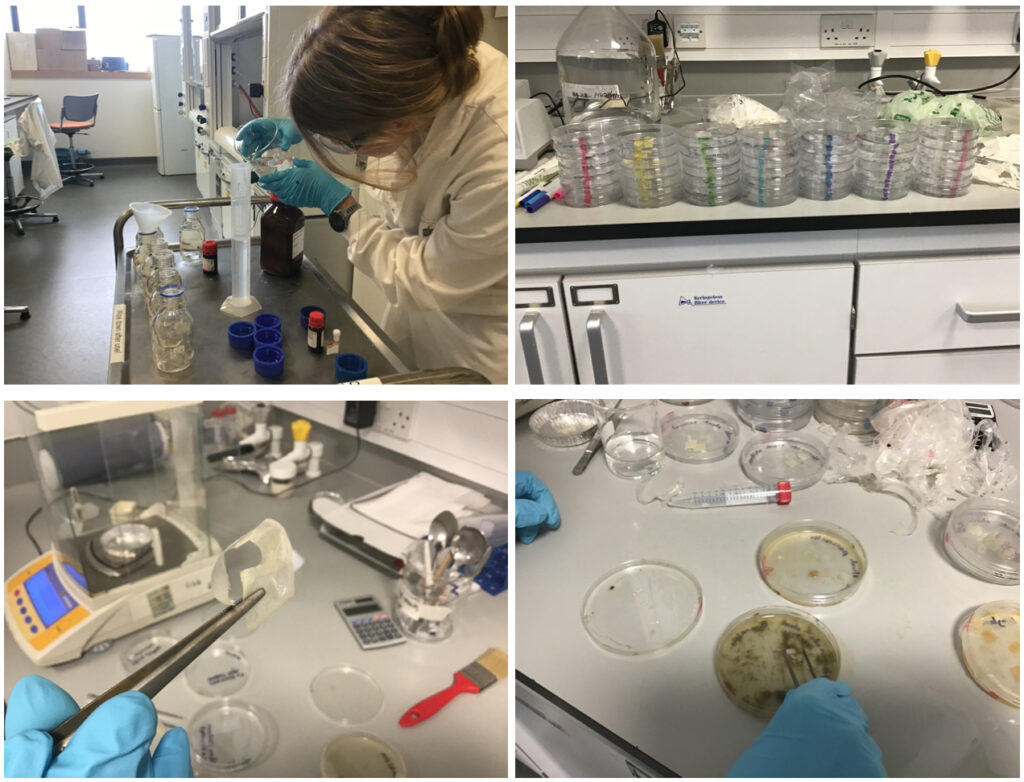 BiOrbic, Bioeconomy SFI Research Centre. – Developing a sustainable ...